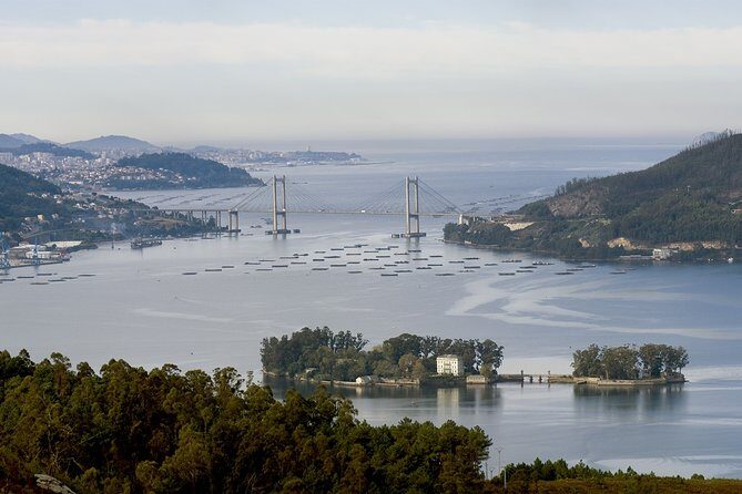 Private walking tour in Vigo - In-Depth Look at the Vigo Private Walking Tour