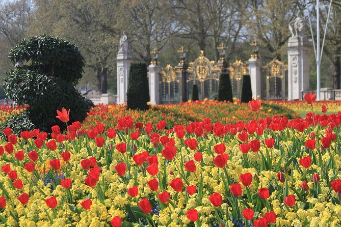 Private Walking tour London, Buckingham Palace to Big Ben and much more - Relaxing in St. Jamess Park