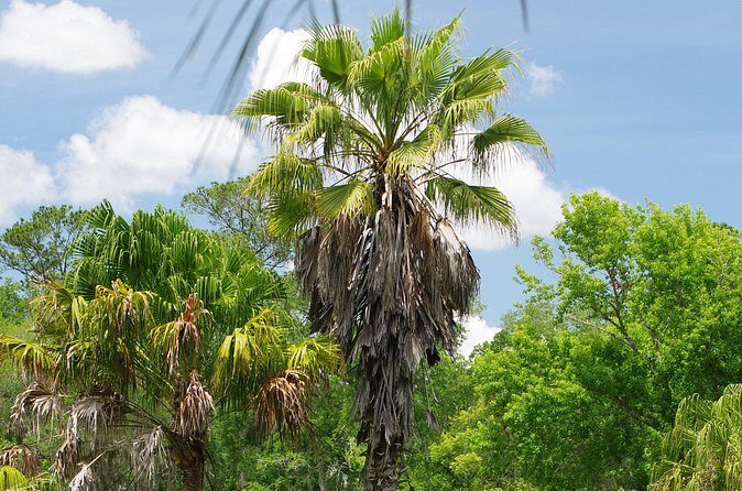 Private Walking Tour to St. John's Botanical Garden - Who Will Enjoy This Tour?