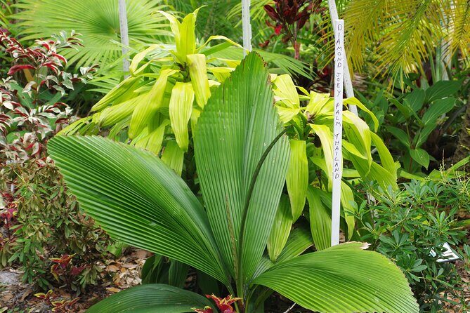 Private Walking Tour to St. John's Botanical Garden - The Sum Up