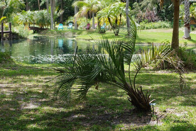 Private Walking Tour to St. John's Botanical Garden - FAQ