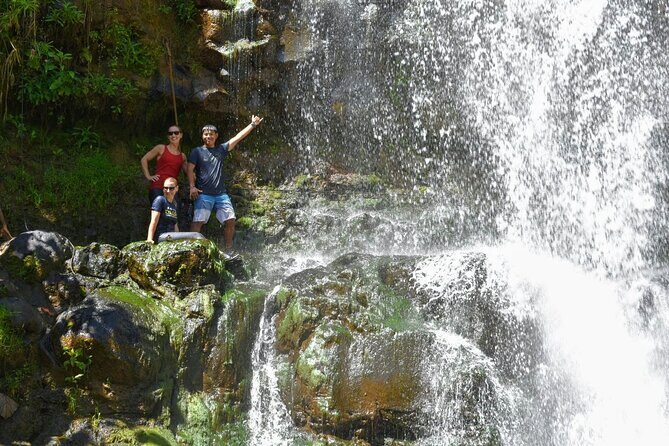 Private Waterfalls Hike and Swim in Lihue - What to Expect from the Waterfalls Hike and Swim Tour