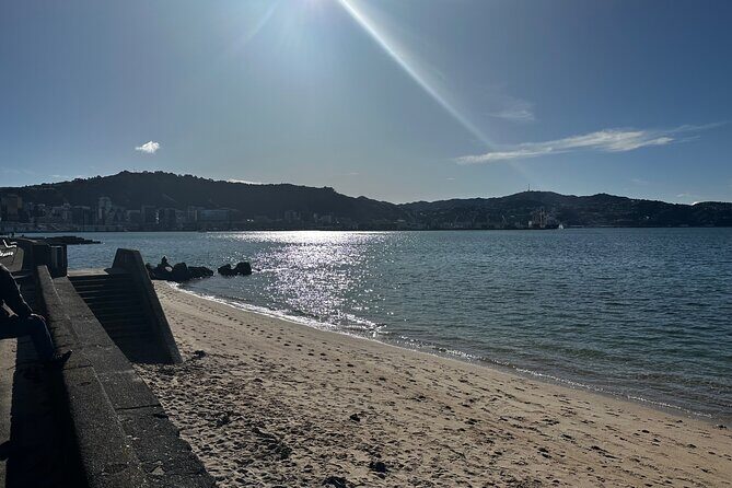 Private Wellington City Highlight Tour - Final Thoughts