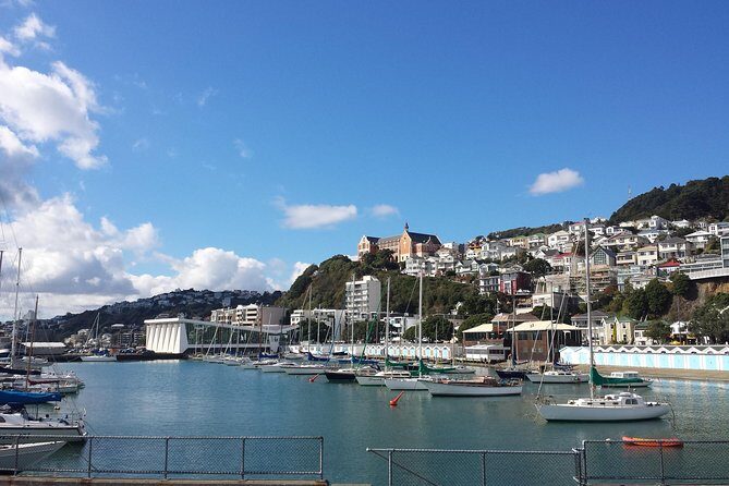 Private Wellington Full Day Sightseeing Tour - Parliament Buildings and Old St Paul’s Church