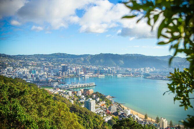 PRIVATE Wellington Half Day Tour including Cable Car - Key Points