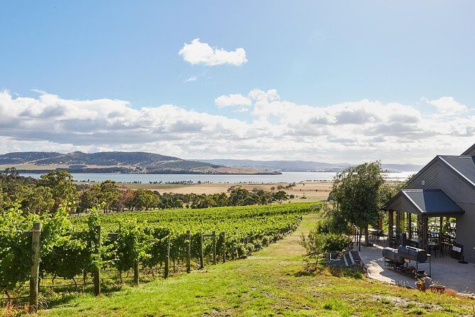 Private West Tamar Wine Tour Book at least 3 days in advance - Exploring the Private West Tamar Wine Tour: An Honest Look