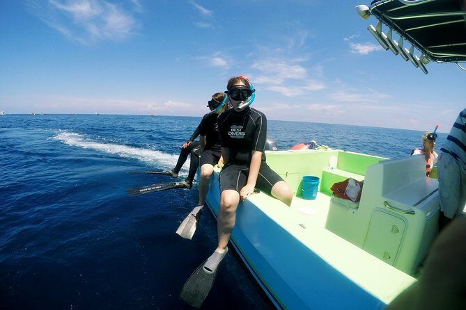 Private Whale Shark All Inclusive Experience - The Value of This Tour