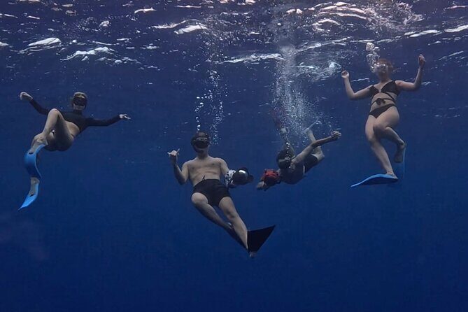 Private Whale Watching Adventure in Mo'orea - Setting the Scene: What to Expect