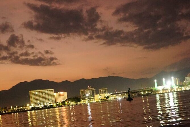 private whale watching at sunset - The Experience: Details and Insights