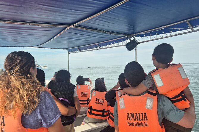 private whale watching at sunset - Authentic Insights from Past Guests