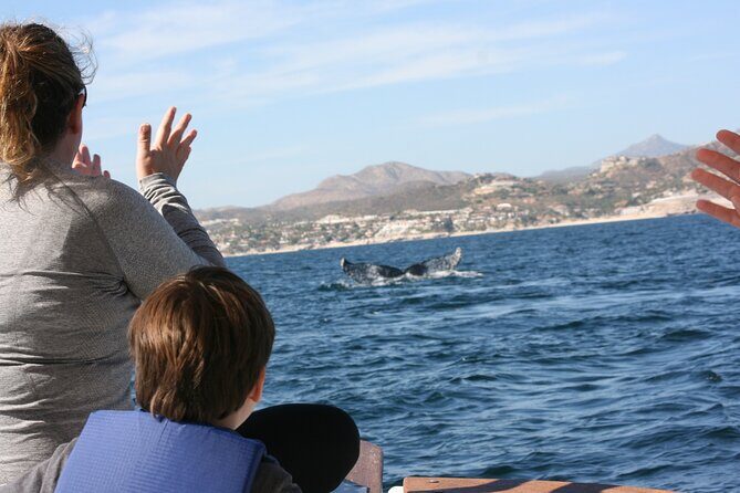 Private Whale Watching in San José del Cabo - FAQs