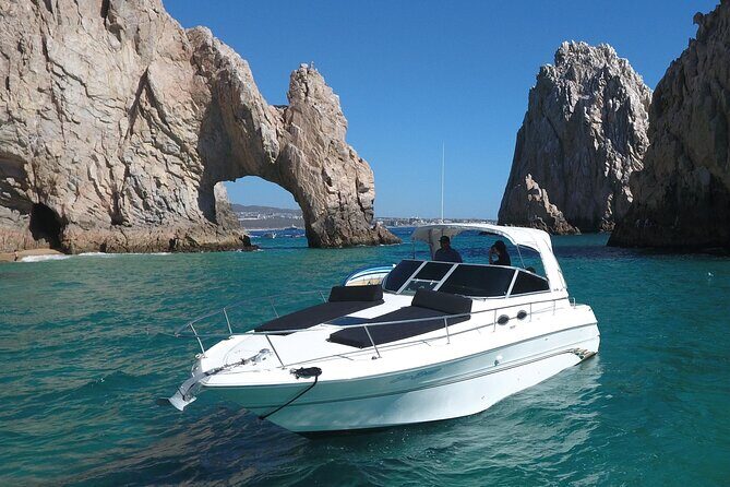 Private Whale Watching on Luxury Yacht in Cabo San Lucas - Key Points