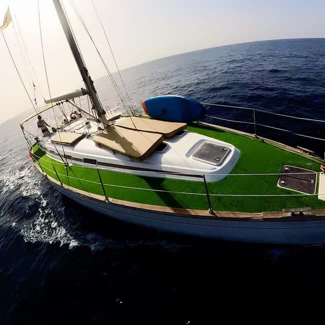 Private Whales & Dolphins Excursion: for you exclusively! - FAQs