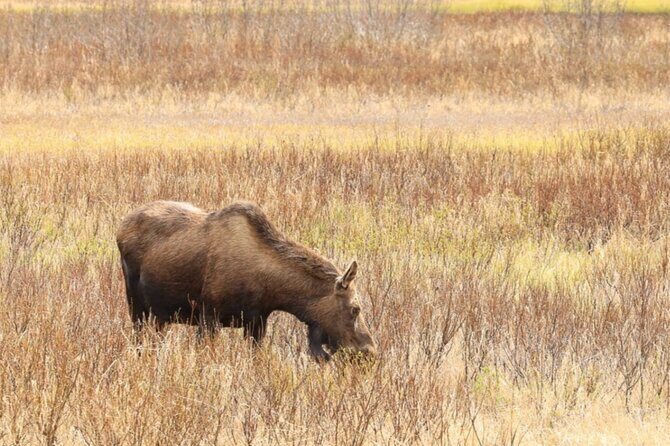 Private Whittier Cruise Transit Tour With AWCC - Detailed Experience Breakdown