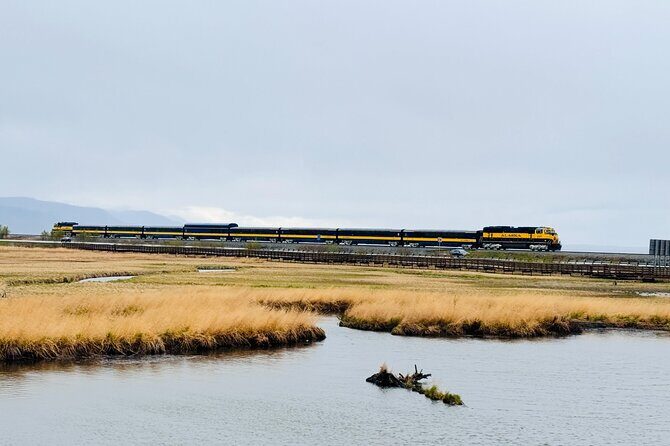 Private Whittier Cruise Transit Tour With AWCC - The Sum Up