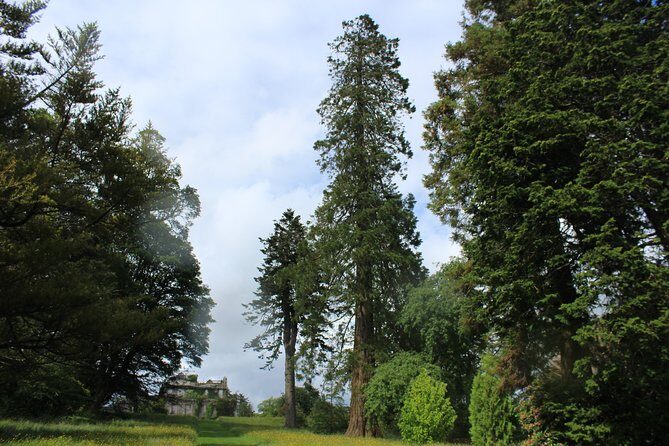 Private Wicklow Mountains Day Tour - Who Should Consider This Tour?