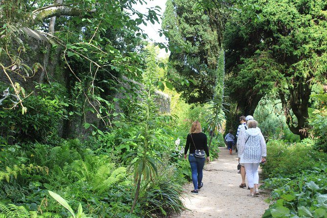 Private Wicklow Mountains Day Tour - Practical Details and Tips