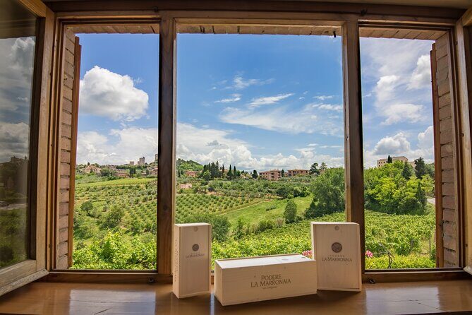 Private Wine & Evo oil tasting with Truffle Meal - What Travelers Say