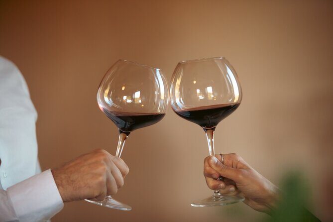 Private Wine & Evo oil tasting with Truffle Meal - Who Will Love This Tour?