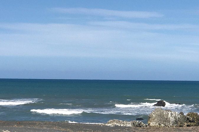 Private Wine Gourmet and Scenic Delights Tour from Blenheim - FAQ  