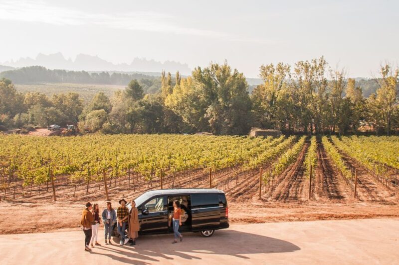 Private Wine, Tapas & Cava Experience from Barcelona - The Value of the Tour: Is It Worth It?