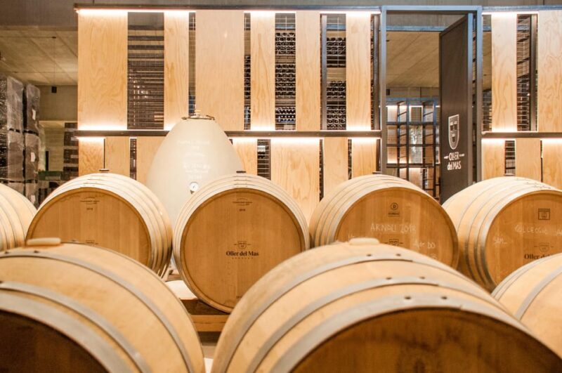 Private Wine, Tapas & Cava Experience from Barcelona - The Sum Up