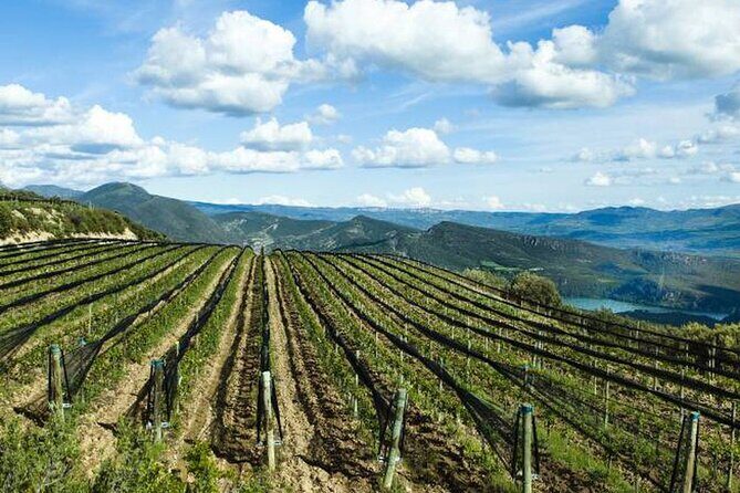 Private Wine Tasting And Visit Tour in Ribera Duero - Exploring the Best of Ribera del Duero with a Private Wine Tasting Tour