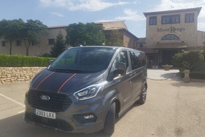 Private Wine Tasting And Visit Tour in Ribera Duero - Key Points