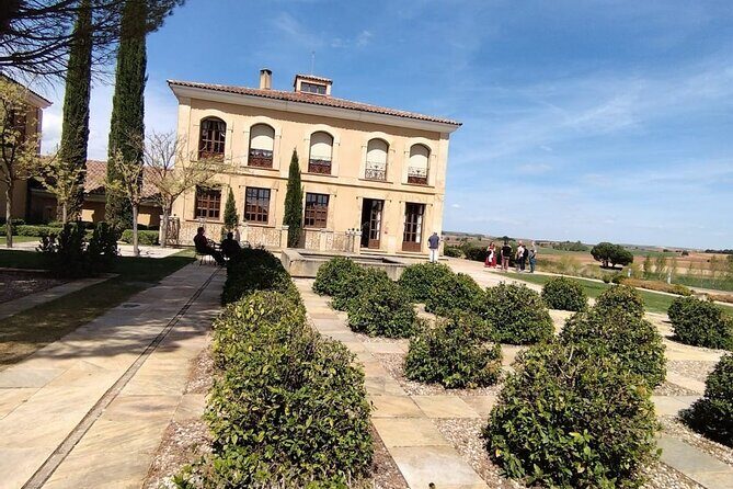Private Wine Tasting And Visit Tour in Ribera Duero - Optional Lunch with a Winemaker