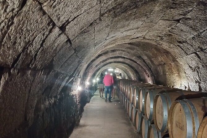 Private Wine Tasting And Visit Tour in Ribera Duero - Additional Visits and Flexibility