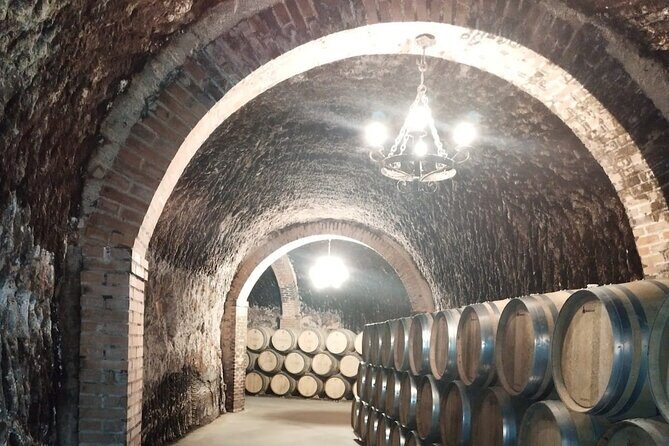 Private Wine Tasting And Visit Tour in Ribera Duero - What’s Included and What to Consider
