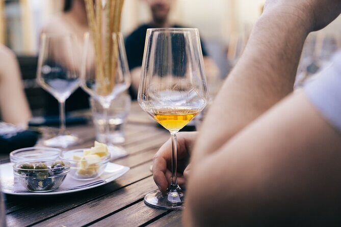 Private Wine Tasting Experience in Ljubljana - An Insightful Look at the Ljubljana Wine Tasting