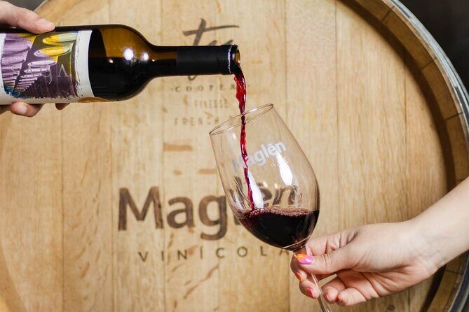 Private Wine Tasting Experience in Maglén - Key Points