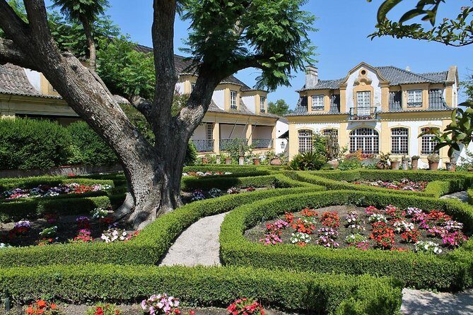 Private Wine Tasting in the Setúbal Wine Region, from Lisbon - Who Will Love This Tour?