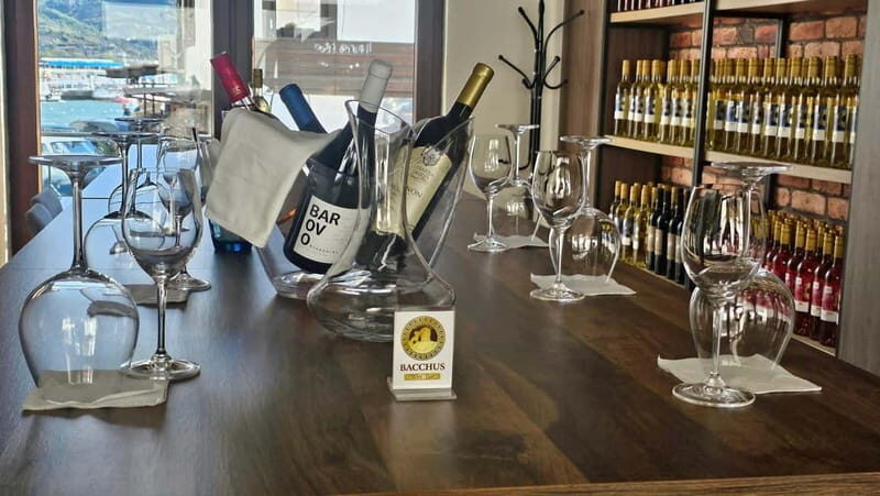 Private Wine Tasting Ohrid - Final Thoughts