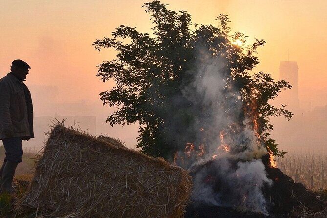 Private Wine Tasting Tour - Burgundy Uncorked!! - Final Thoughts