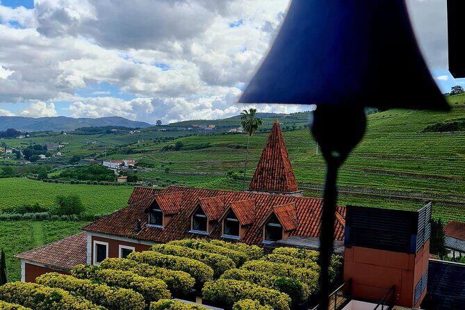 Private Wine Tasting Tour in Douro Valley - Exploring the Private Wine Tasting Tour in Douro Valley: A comprehensive review