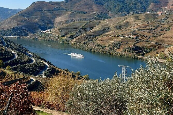 Private Wine Tasting Tour in Douro Valley - The Itinerary: How the Day Unfolds