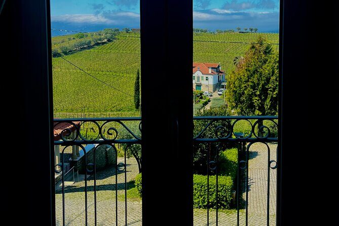 Private Wine Tasting Tour in Douro Valley - FAQ
