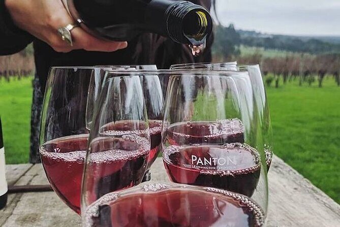 Private Wine Tasting Tour in Mornington Peninsula with Lunch - An In-Depth Look at the Tour Itinerary