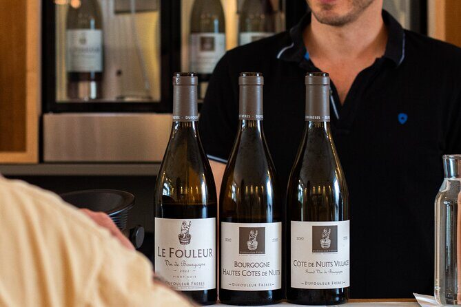 Private wine tasting workshop by Dufouleur - Bourgogne - Why This Tour Works