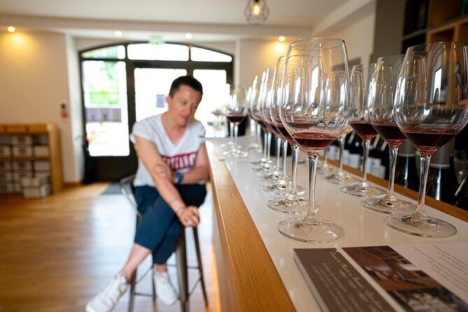 Private wine tasting workshop by Dufouleur - Bourgogne - Who Will Love This Experience?