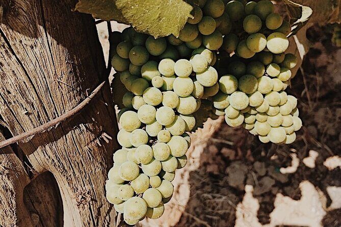 Private Wine Tour for 1-5 People in Oregon - The Sum Up