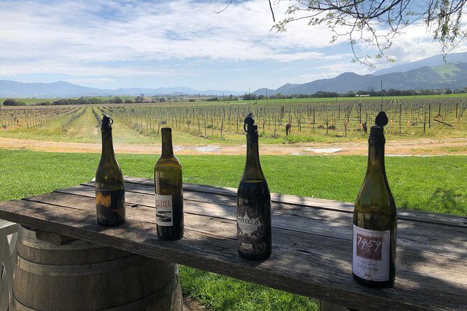 Private Wine Tour from the Santa Ynez Valley - What to Expect from the Santa Ynez Private Wine Tour