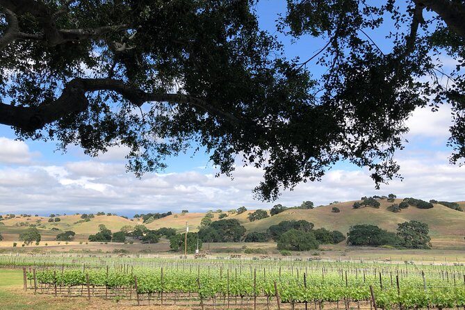 Private Wine Tour from the Santa Ynez Valley - Who Will Love This Tour?