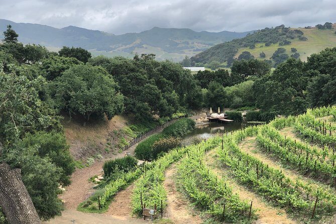 Private Wine Tour from the Santa Ynez Valley - FAQs