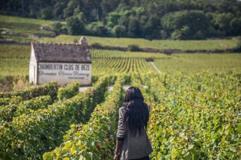 Private Wine Tour in Côte de Nuits and Côte de Beaune - An Inside Look at the Burgundy Private Wine Tour