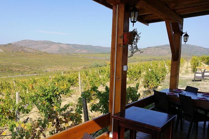 Private Wine Tour of Chateau Sopot Winery from Skopje - In-Depth Look at the Itinerary