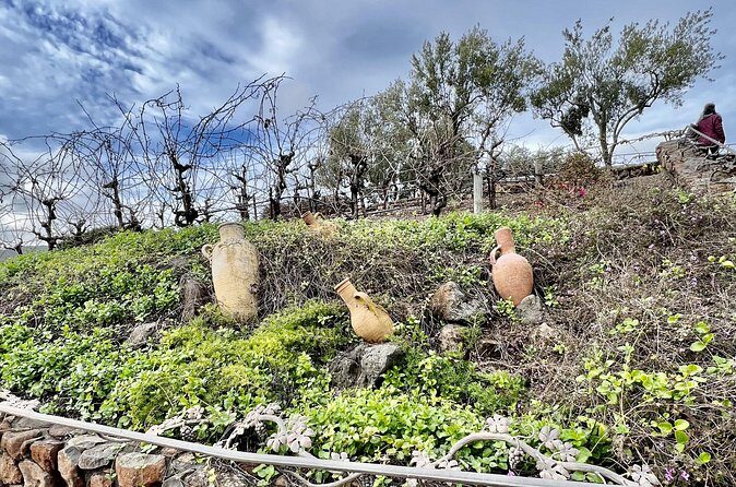 Private Wine Tour of Napa and Sonoma - Who Should Consider This Tour?