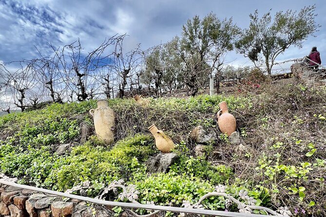 Private Wine Tour of Napa and Sonoma - The Sum Up